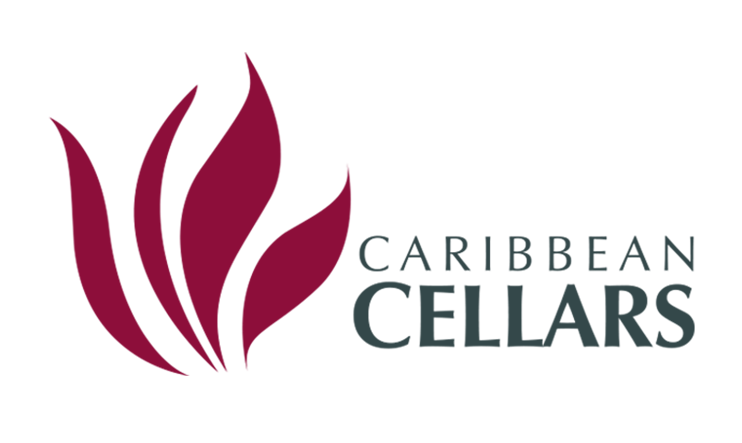 Homepage - BVI Lit Fest